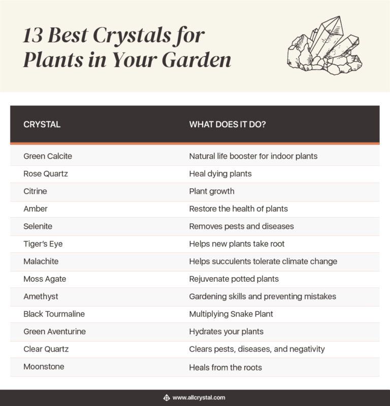 13 Best Crystals for Plants in Your Garden | All Crystal