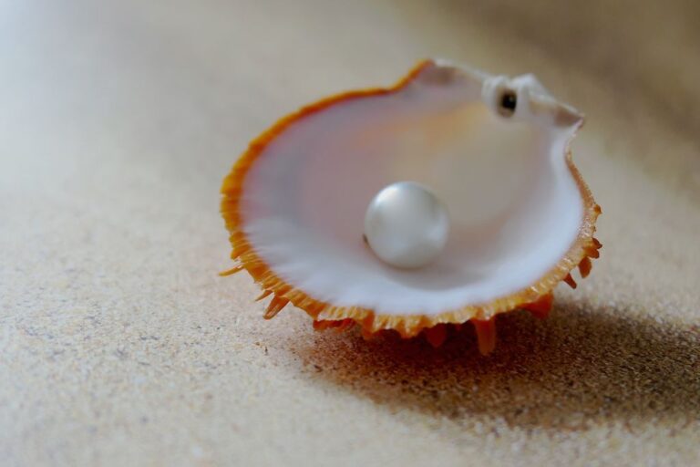 Pearl: Meaning, Properties, and Benefits You Should Know