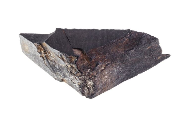 Jet Stone: Meaning, Properties, and Benefits You Should Know