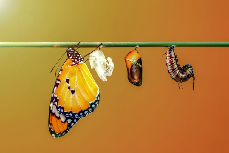 Melanite: Meaning, Properties, and Benefits You Should Know