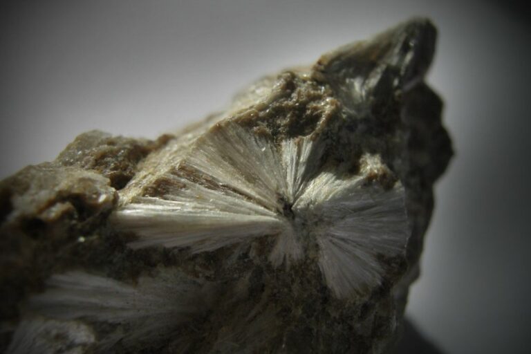 Tremolite: Meaning, Properties, and Benefits You Should Know