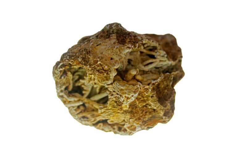 Guide To Rockhounding in Georgia for 16 Gemstones