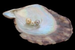 Akoya Pearl: Meaning, Properties, You Should Know