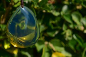 Blue Amber: Meaning, Properties, and Benefits You Should Know