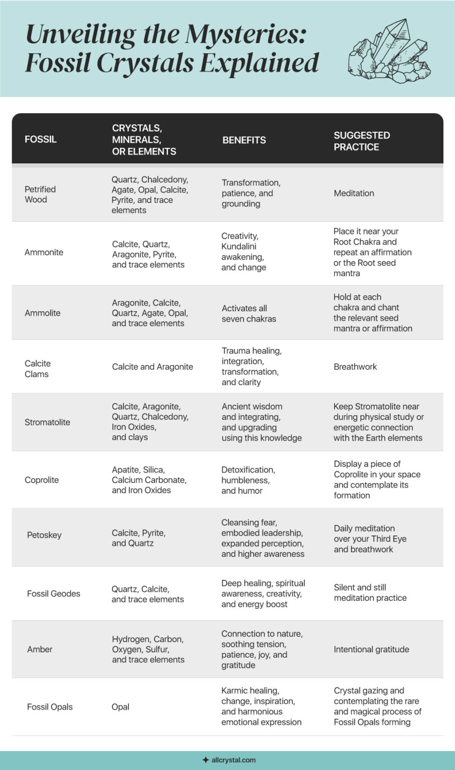 Unveiling the Mysteries: Fossil Crystals Explained | All Crystal