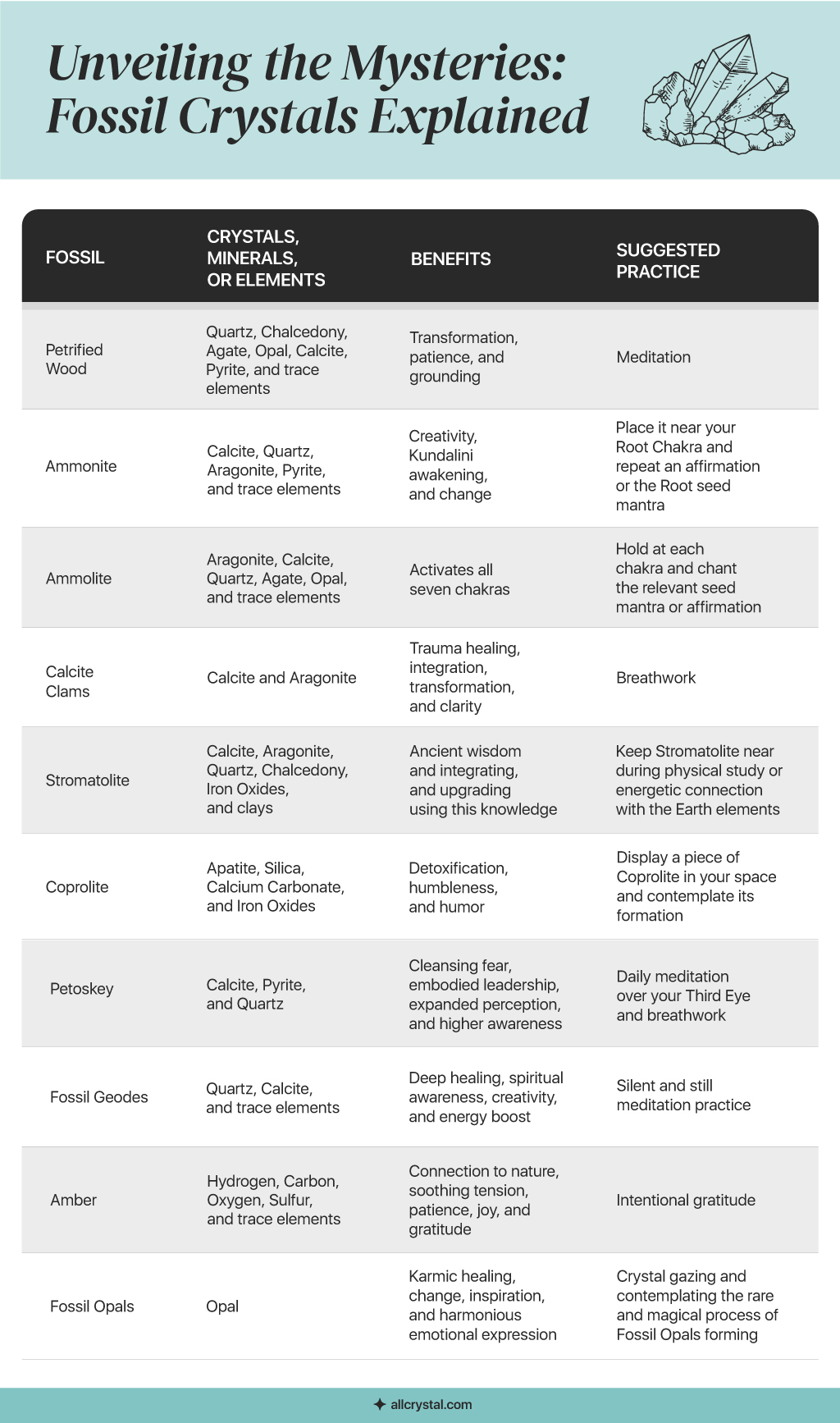 Unveiling the Mysteries: Fossil Crystals Explained | All Crystal