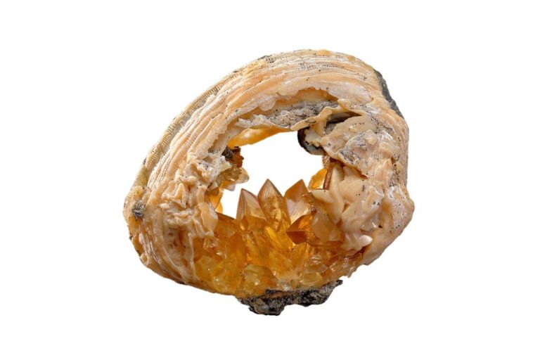 Unveiling the Mysteries: Fossil Crystals Explained | All Crystal