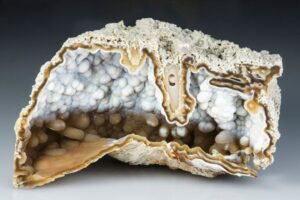 Agatized Coral: Meaning, & and Benefits You Should Know