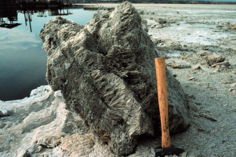 Trona: Meaning, Properties, and Benefits You Should Know
